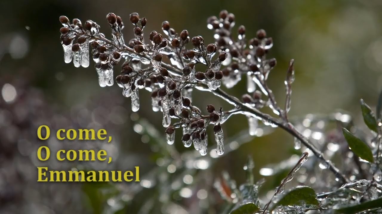 Advent Meditation: O come, O come, Emmanuel - YouTube