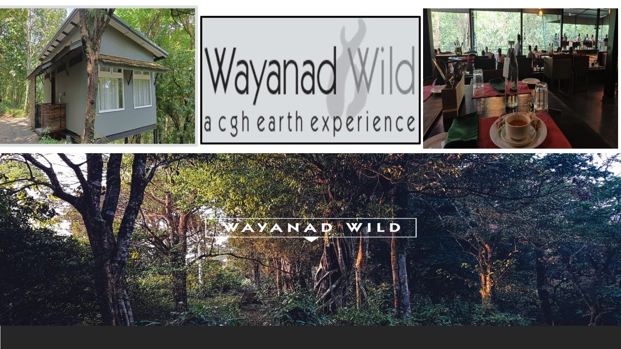 wayanad wild --- CGH Earth \vythri village \ best eco friendly resort ...