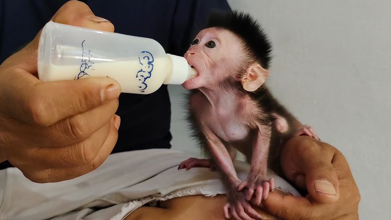 Moved by this success 😭 even though it was not one hundred percent,baby ...