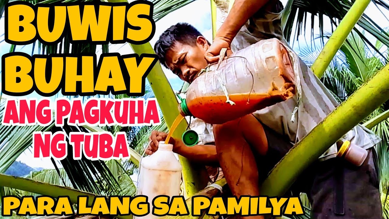 BUWIS BUHAY ANG PAGKUHA NG TUBA PARA LANG SA PAMILYA | Sarangan Vlogger ...