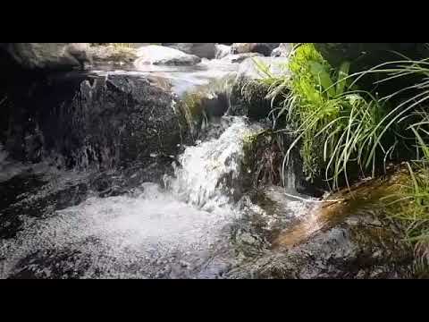 YAVAŞ ÇEKİM HUZUR