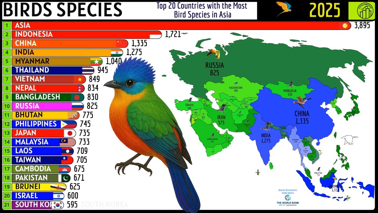 TOP 20 COUNTRIES WITH THE MOST BIRD SPECIES IN ASIA - YouTube
