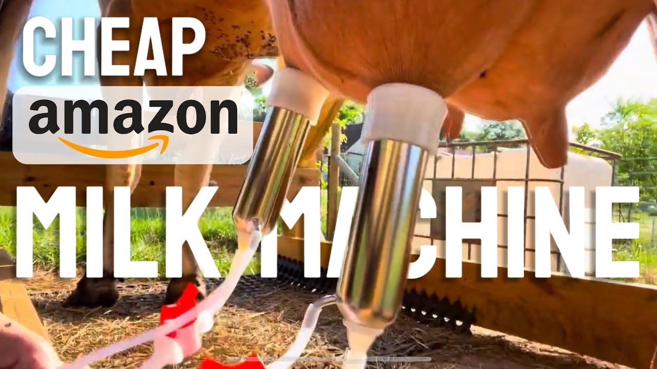 CHEAP Amazon Milk Machine Review - YouTube