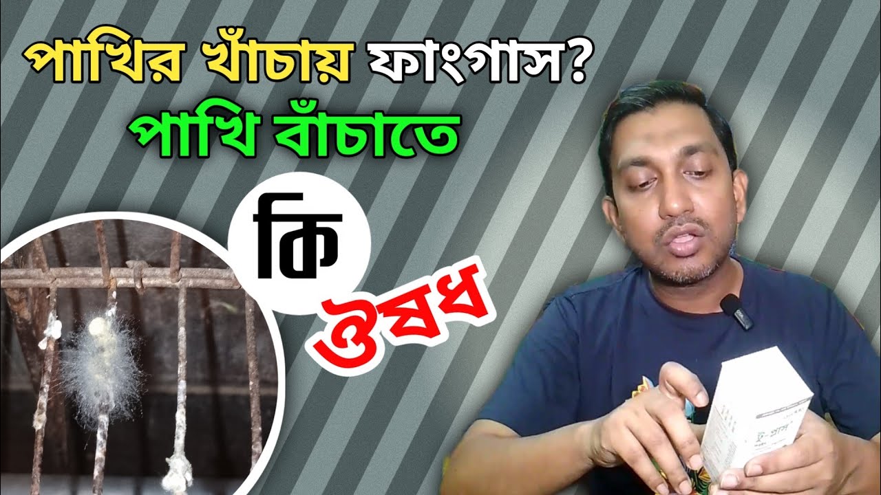 পাখির ফাংগাস সমস্যা ও সমাধান এবং পাখি ব্রিডিং | Birds symptoms of ...