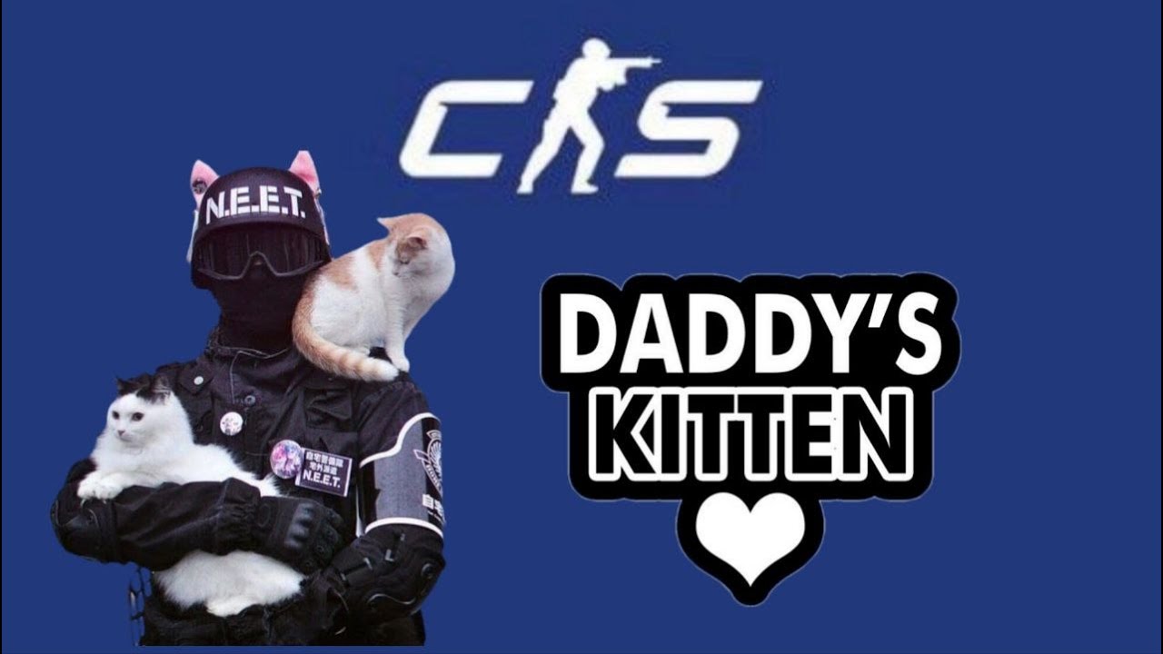 CS2 LIVE | Chosen by a Kitten - YouTube