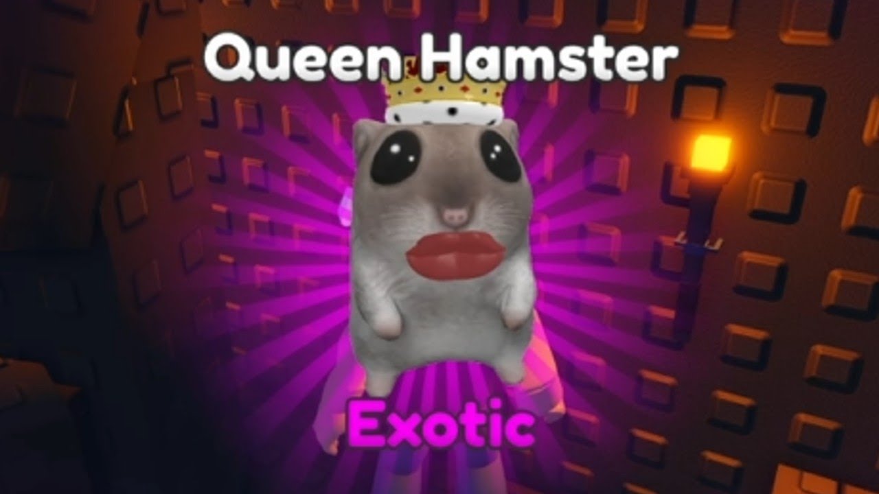 Find the Hamster - Where to Find the Queen Hamster (Roblox) - YouTube