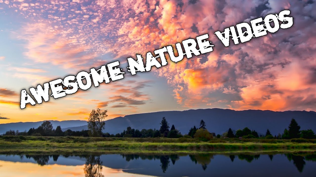 Awesome nature videos... - YouTube