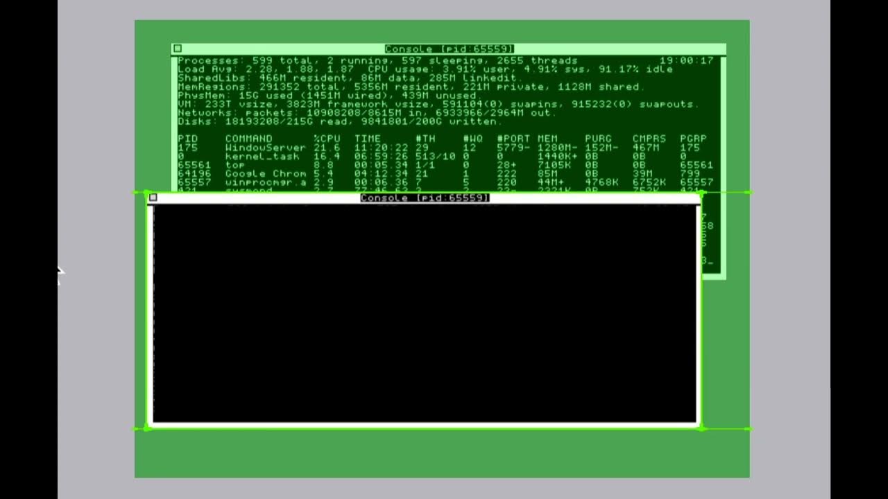 Visualization of Recursive Redrawing of windows - YouTube