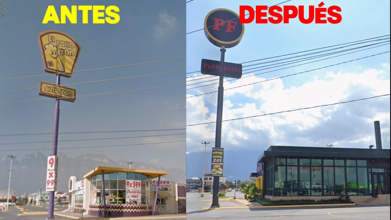EL POLLO YON FUE ABANDONADO Y AHORA ES POLLO FELIZ en Monterrey, Nuevo ...