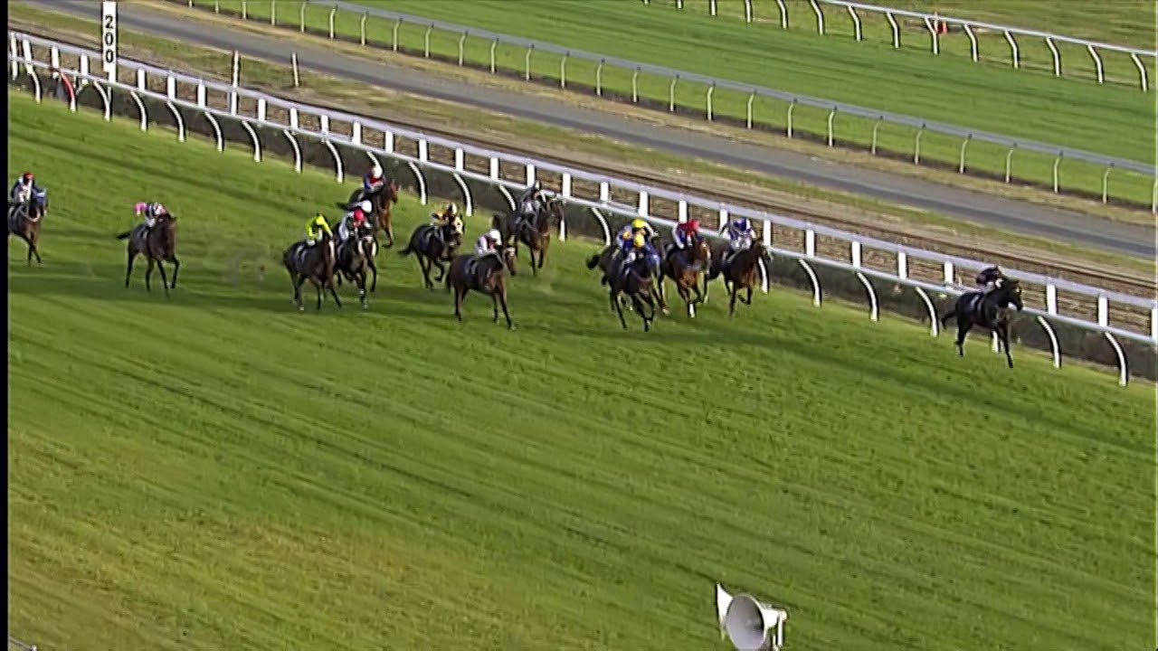 Race Replay: Te Rapa Race 9 - 27 April - YouTube