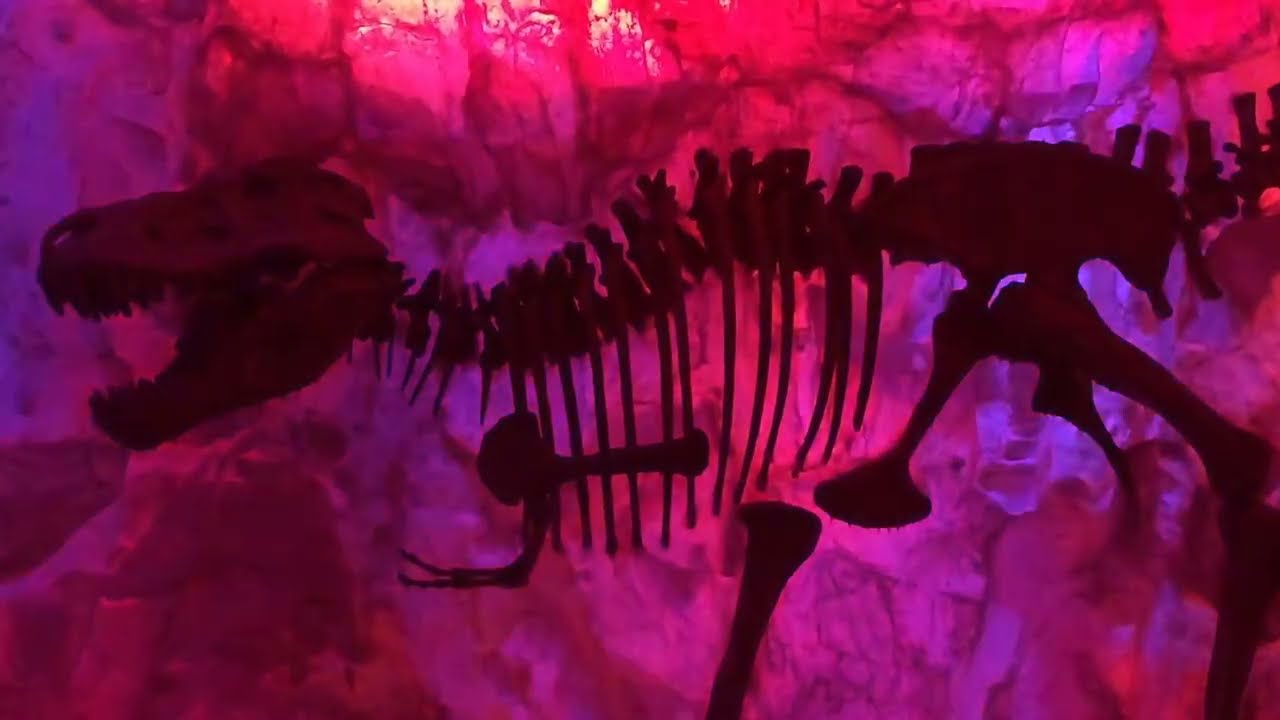 Free Stock Footage 2017 Ice Cave Skeleton Red - YouTube