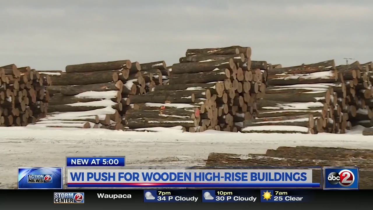 WBAY - Rep. Sean Duffy on Wisconsin's Lumber Industry - YouTube