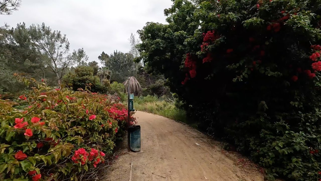 Encinitas Park, North Coast Trail - YouTube