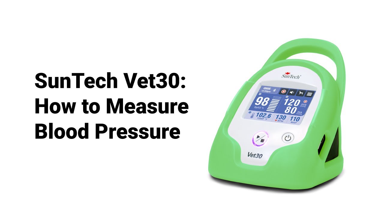 SunTech Vet30 How To Measure Blood Pressure YouTube suntech-vet30-how-to-measure-blood-pressure-youtube