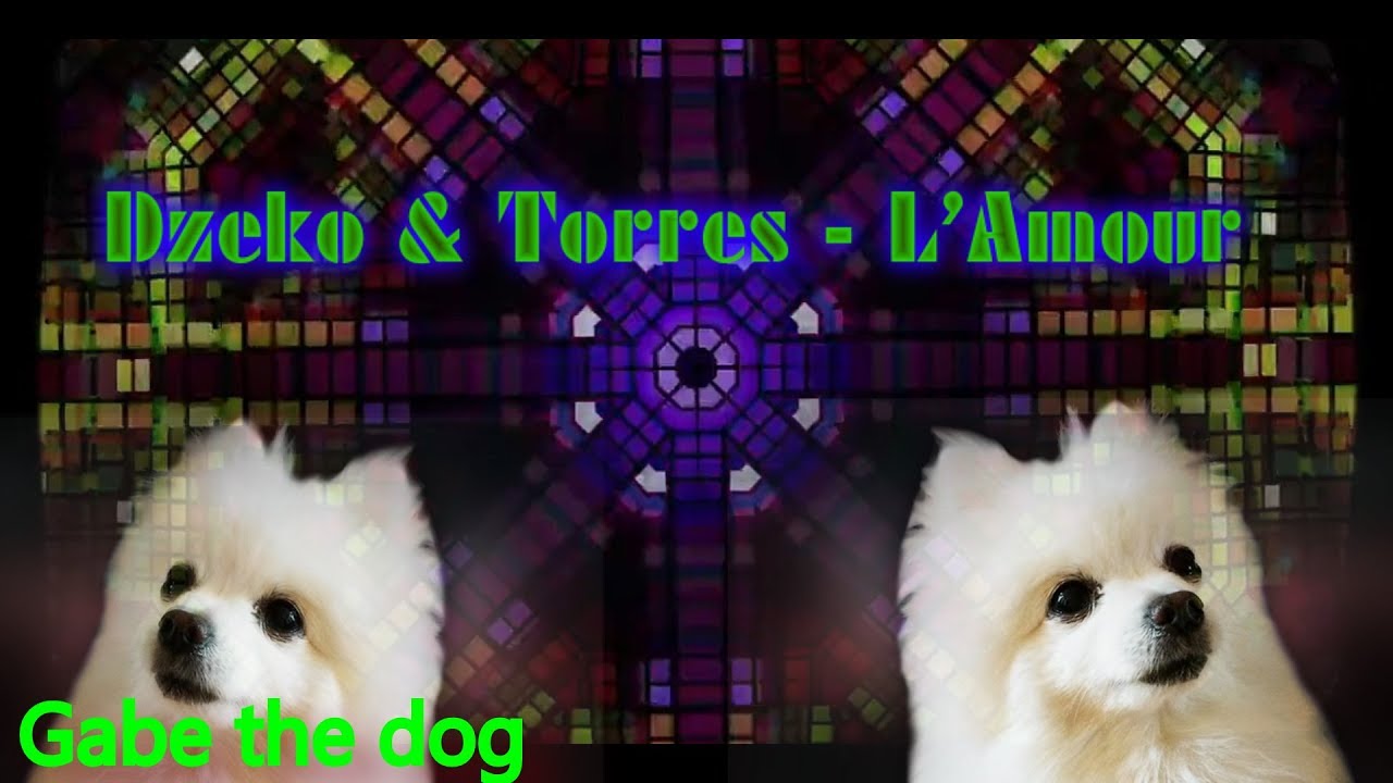 Gabe The Dog - Dzeko & Torres | L'Amour [Explosion Remix] - YouTube