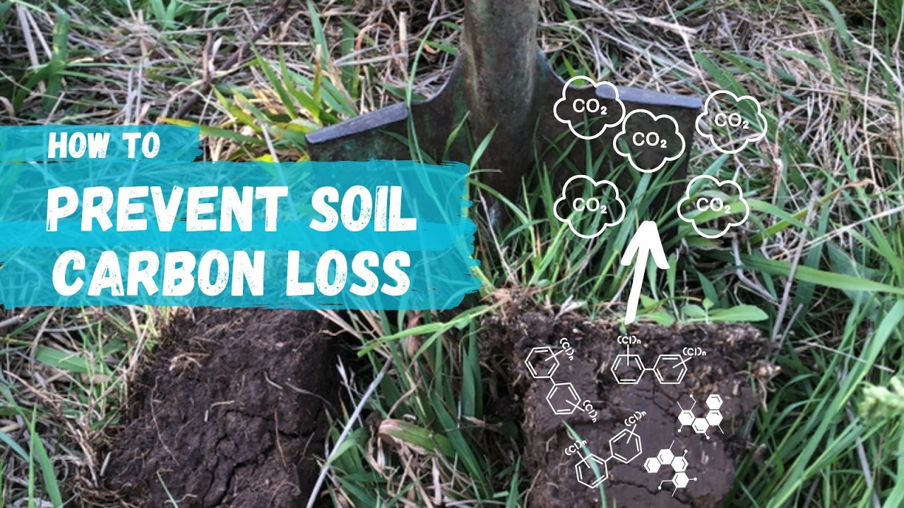 How To Prevent Soil Carbon Loss | Soil Organic Carbon Course - YouTube