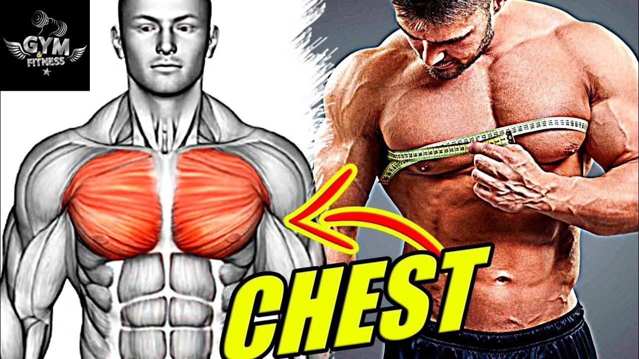 ️Los mejores ejercicios para entrenar pecho💪💪⚡Chest Workout - YouTube