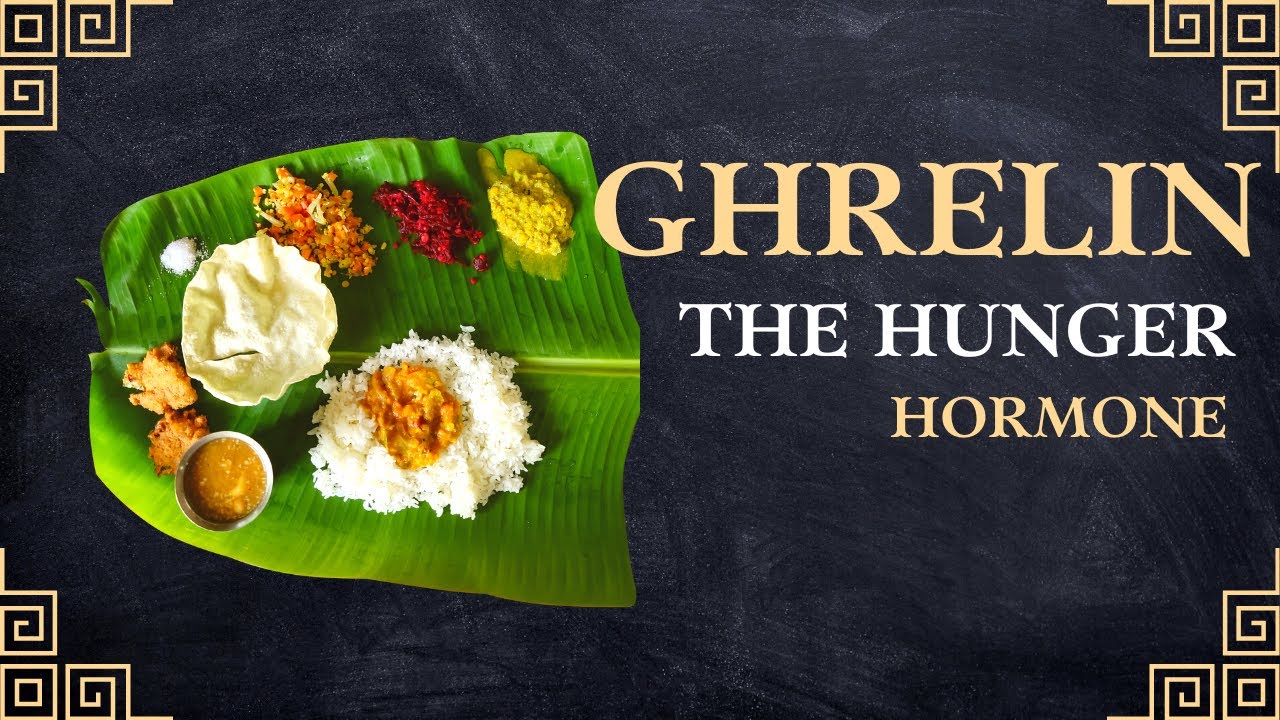 Ghrelin...The Hunger Hormone! - YouTube