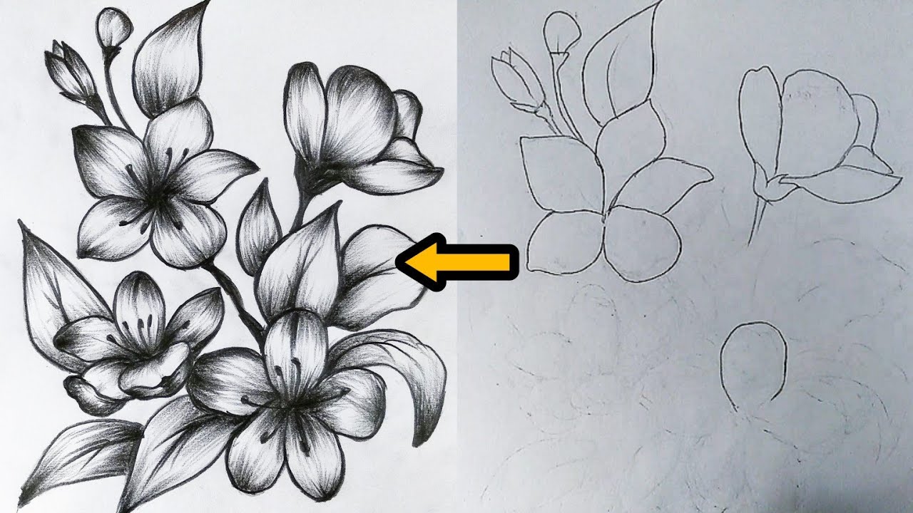 how to draw frangipani /easy step by step drawing - YouTube