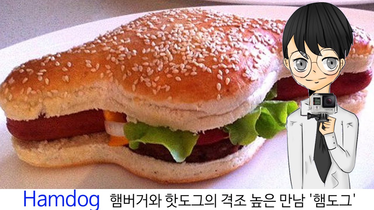Hamdog: 햄버거와 핫도그의 격조 높은 만남 '햄도그'-[스나이퍼 뉴스룸] - YouTube
