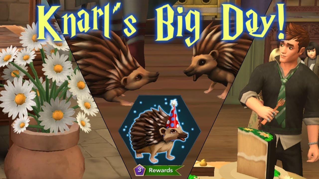 KNARL'S ADORABLE BIRTHDAY BASH!🎉 Knarl's Big Day || Harry Potter ...