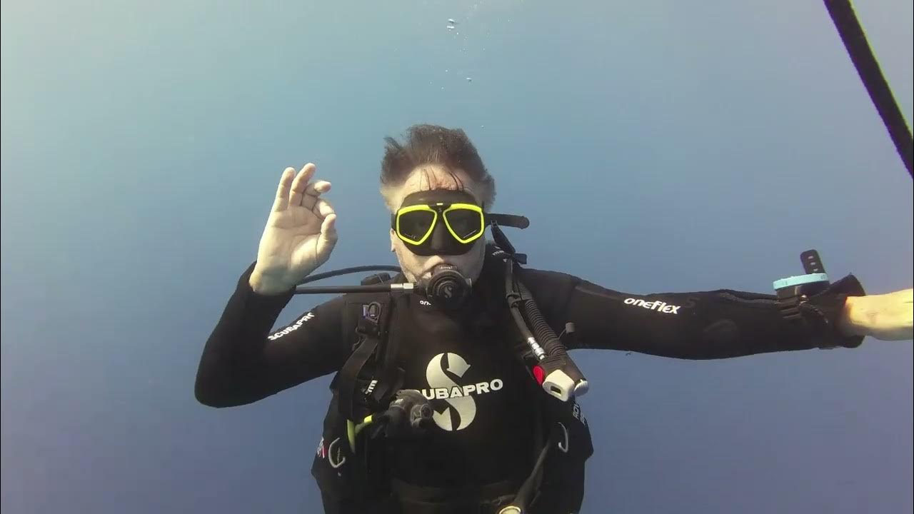 240624 Jubilee Shoals Guenter Krauss - YouTube