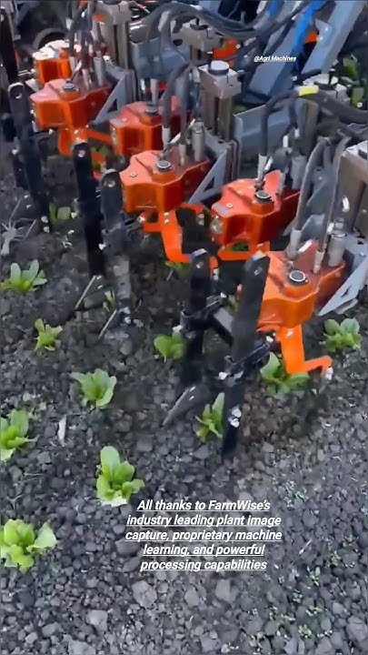 Ai Based Intra-Row Weeder & Precision Cultivator | Made By FarmWise Labs USA | #farming # ...
