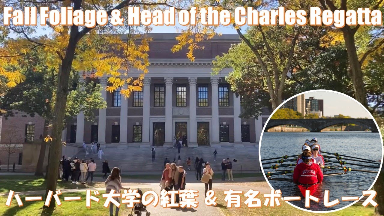 Fall Foliage at Harvard University & Head of the Charles Regatta in ...