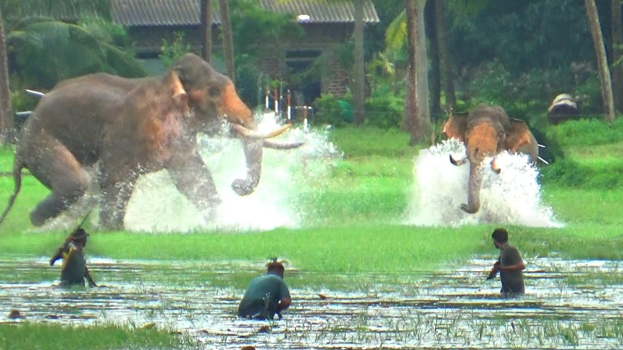Helping Angry Agbo: The Life-Changing Power of Kindness - YouTube