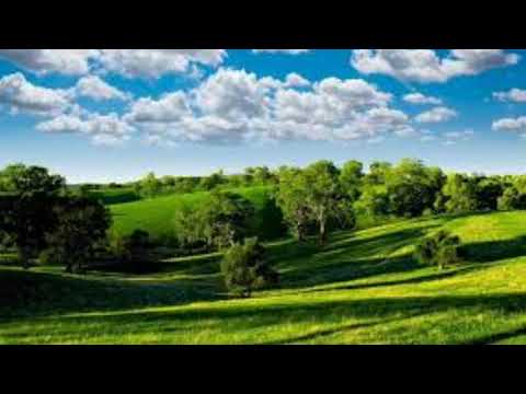 2 dakikada rahatlatan meditasyon müziği