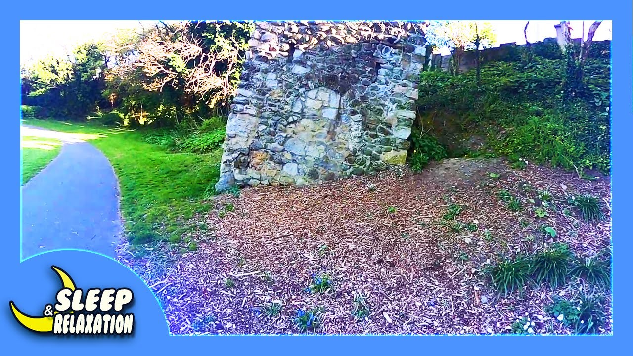 Nature in the park (Nature Visualizer) - YouTube