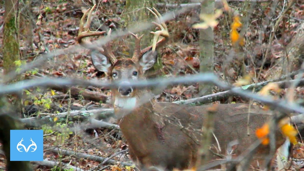 Insane Buck at 30 Yards | Drop-tine and One Eye? | Monster Bucks Monday ...
