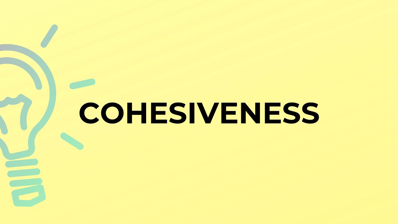 What is the meaning of the word COHESIVENESS? - YouTube