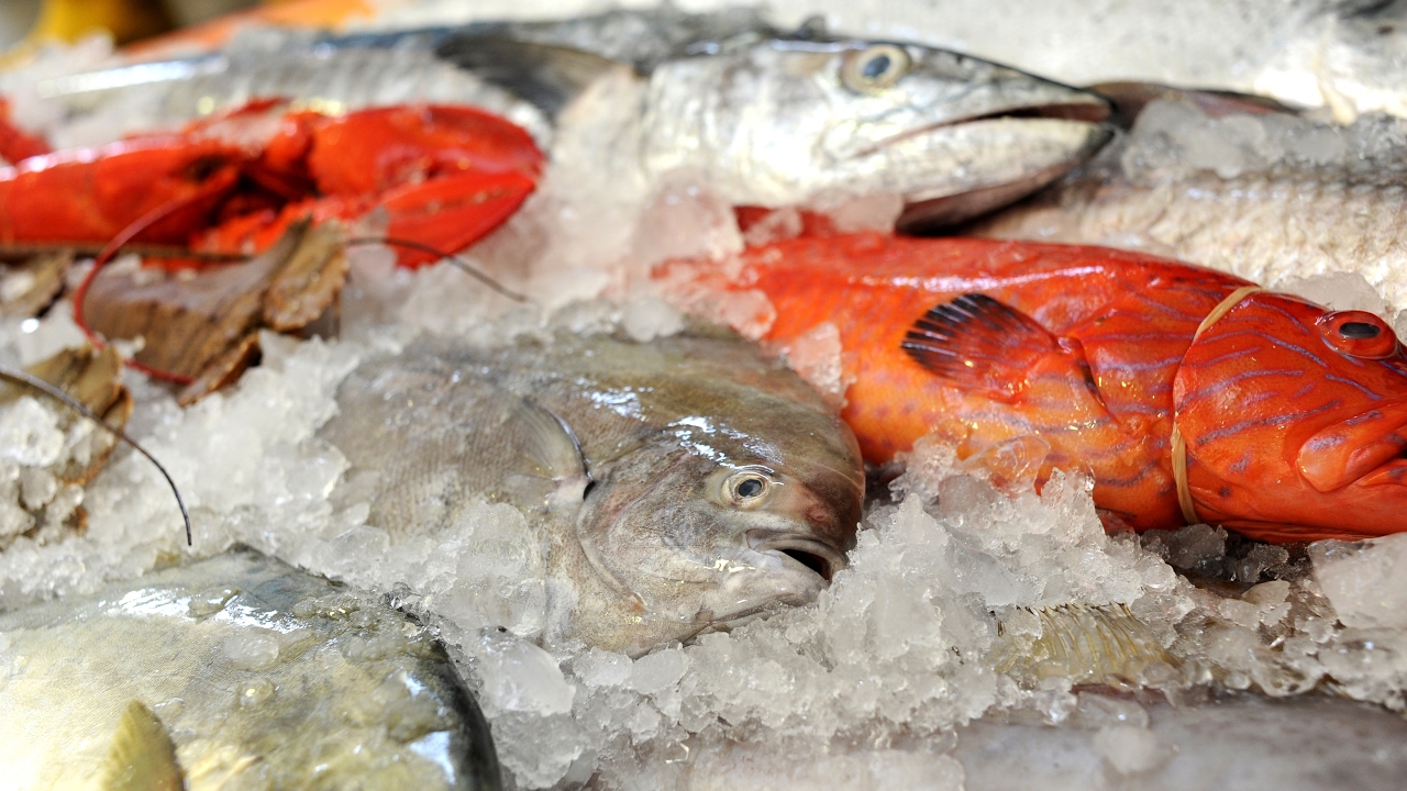 The Seafood Market Place By Song Fish Live Stream - YouTube