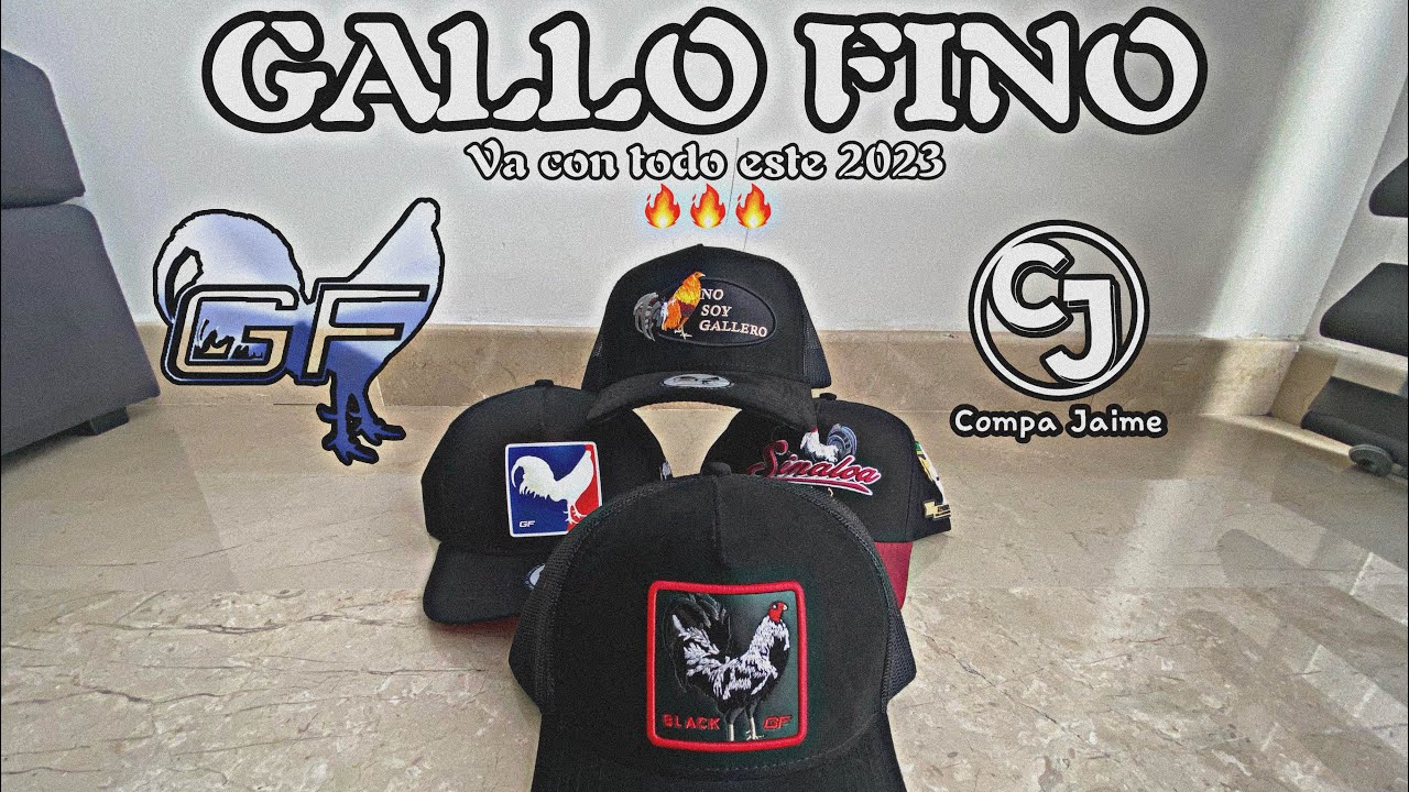 GALLO FINO BRAND ANDA CON TODO ESTE AÑO 🔥🐓 // EL JAIME - YouTube