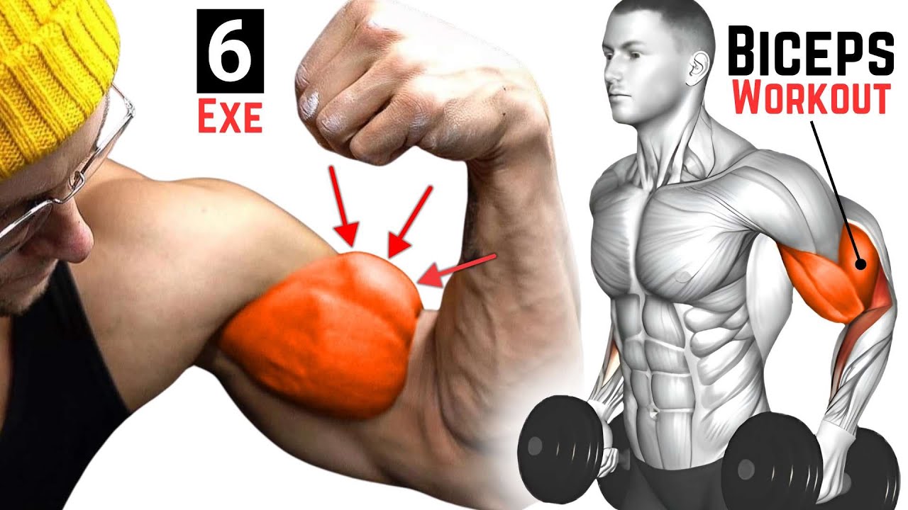 How to Get Bigger Biceps FAST | Top 6 Bicep Exercises - YouTube