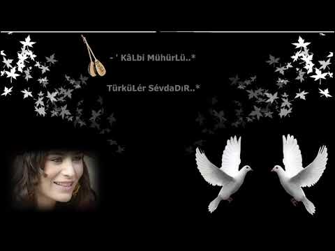 ALi Ekber GüL Son Bakışın