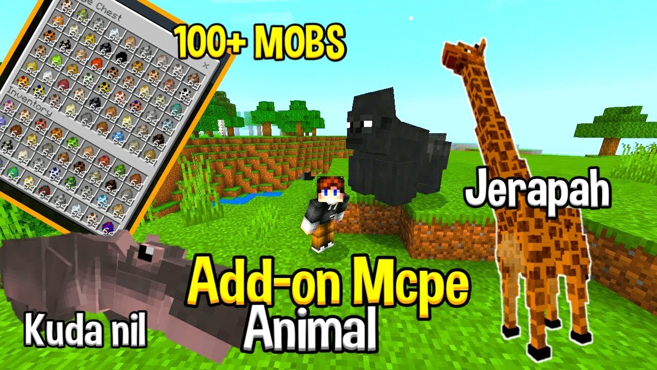 Add-on Animal Mcpe Rame Banget Coy -110+ Mobs | Mcpe 1.16+ - YouTube