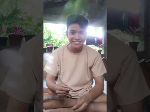 DHAREL BICERA LAN CABLING BSIS 1A Instructor: Mr. IVAN T. BUERE - YouTube