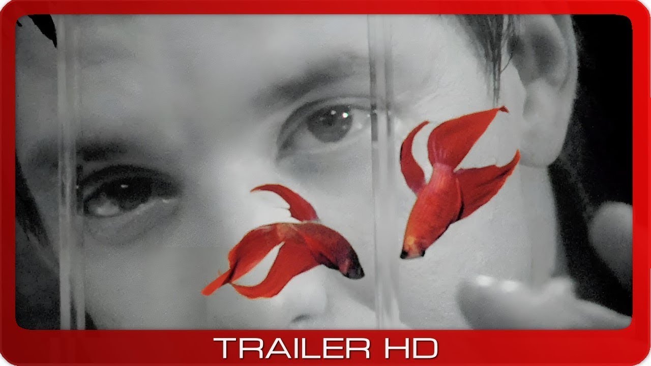 Rumble Fish ≣ 1983 ≣ Trailer - YouTube