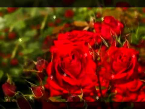 Par Jums, meitenes ...dzied SIMIS - YouTube