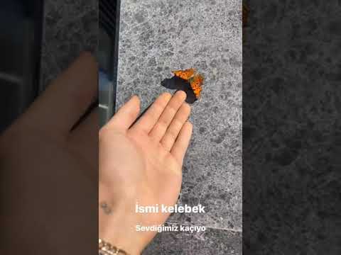 Cellatiniz  21 ekim instagram storyleri #cellat36 #instagram #tiktok