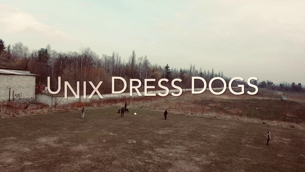 Unix Dress Dog’s - YouTube