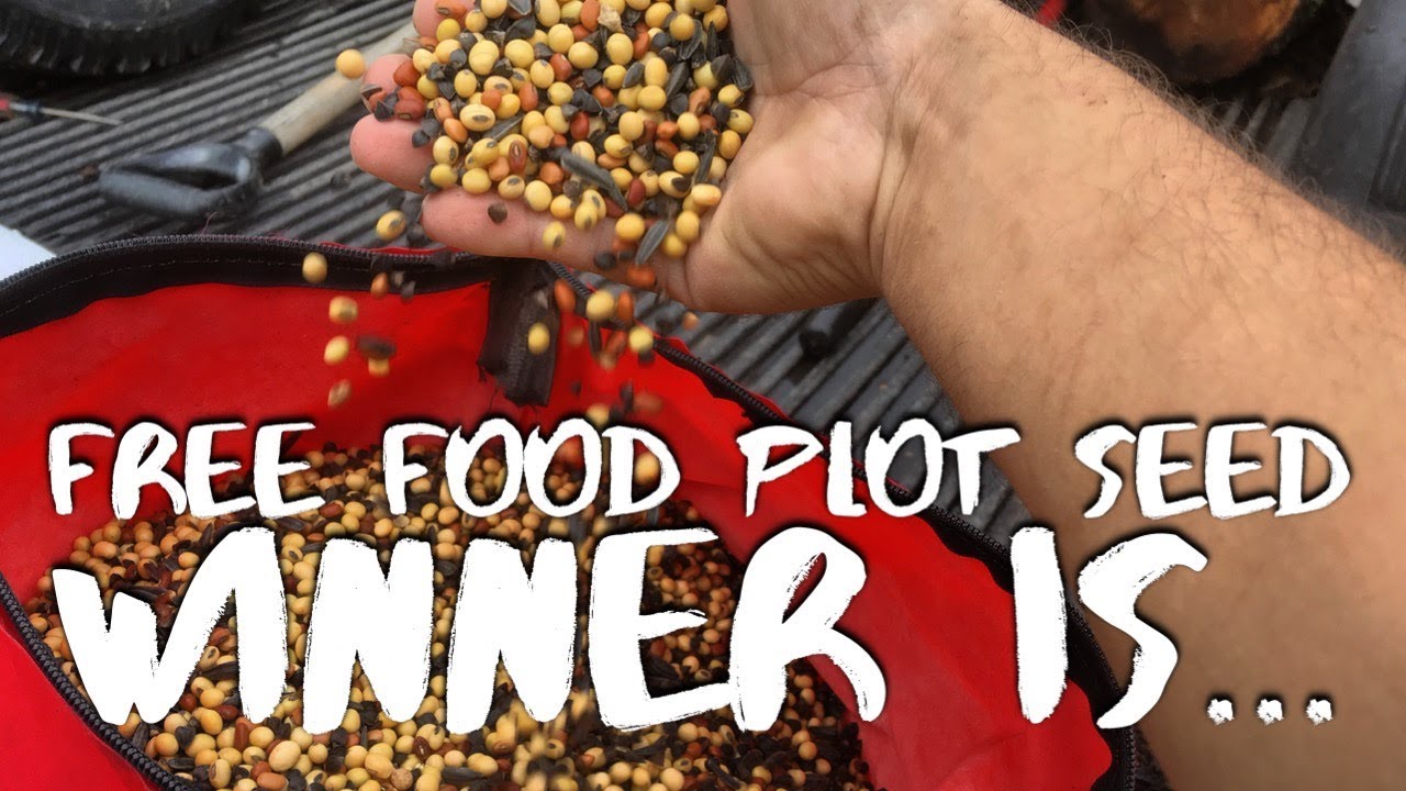 Free Food Plot Seed Winner #2 - YouTube