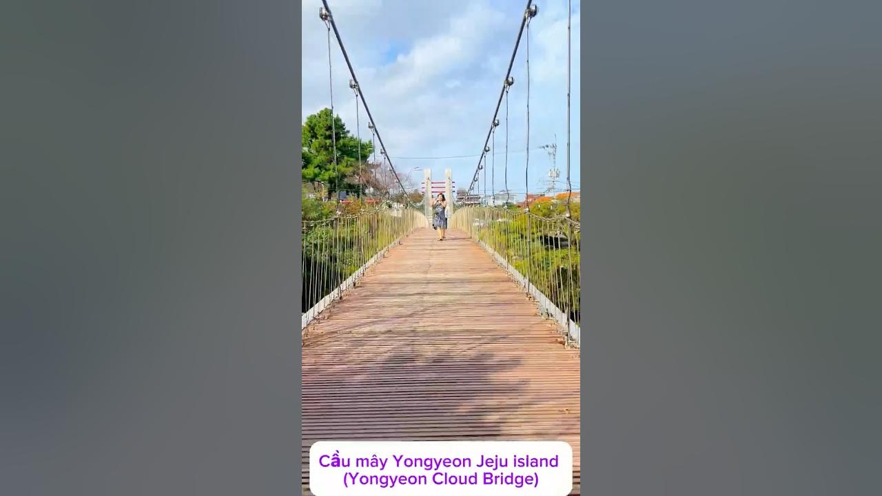 Cầu mây Yongyeon (Yongyeon Cloud Bridge) in Jeju Hàn Quốc - YouTube