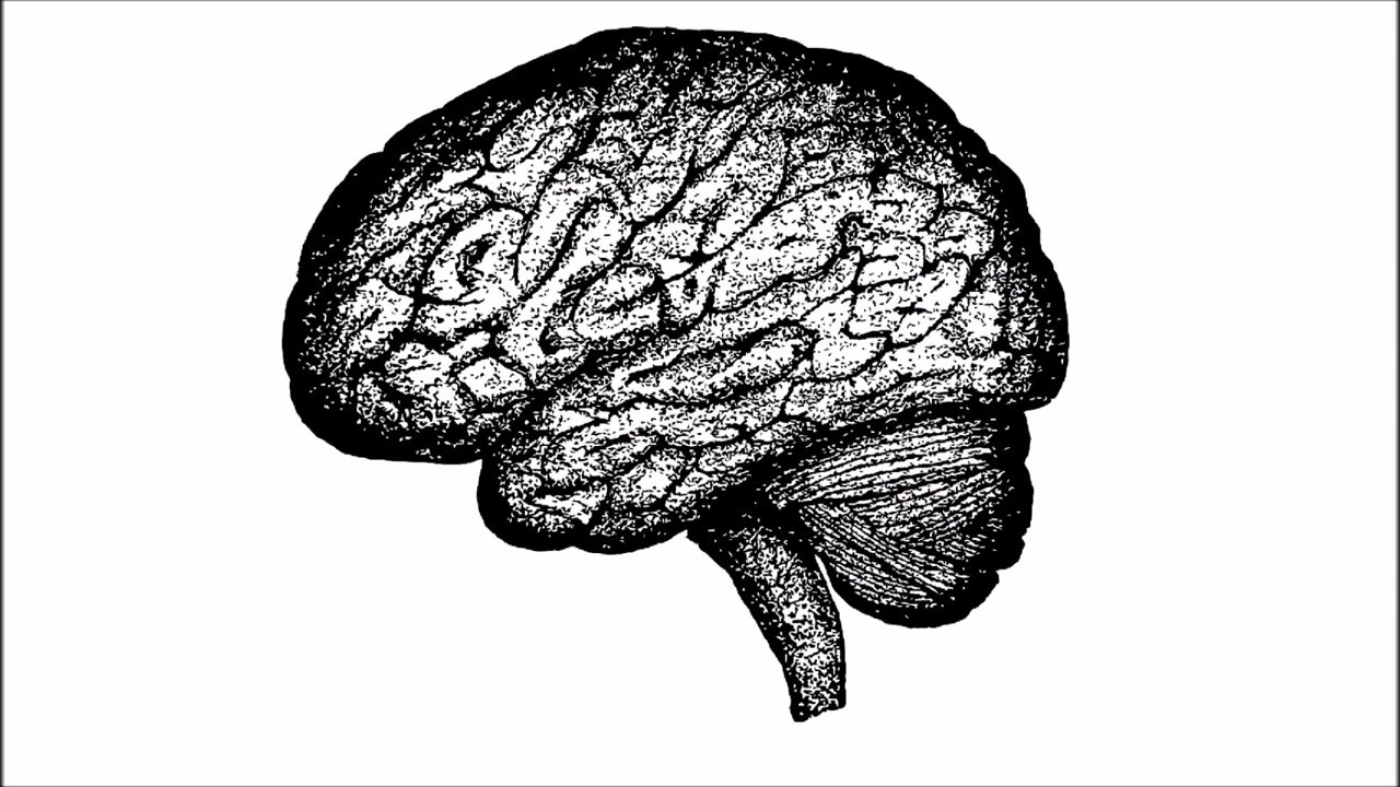 Hannah-Baker-Effect - YouTube