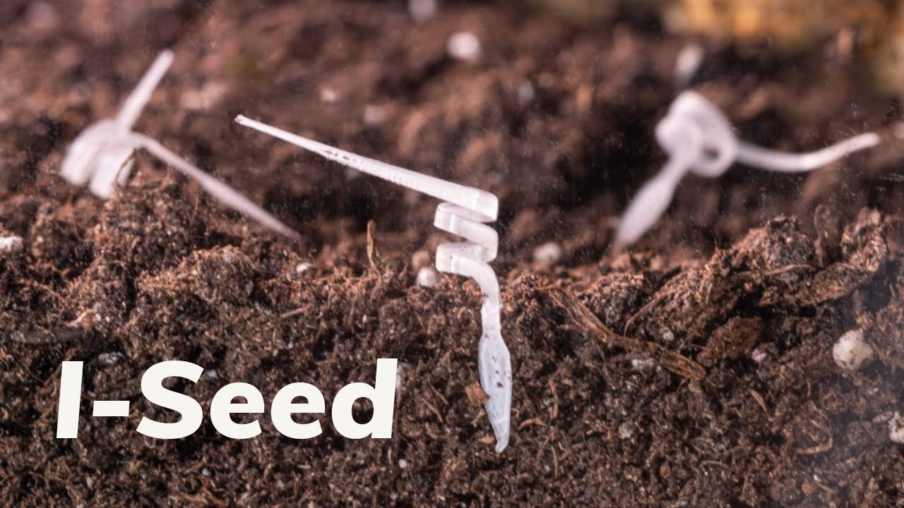New Robotic Seed Can Wriggle Into Soil to Harvest Climate Data - YouTube