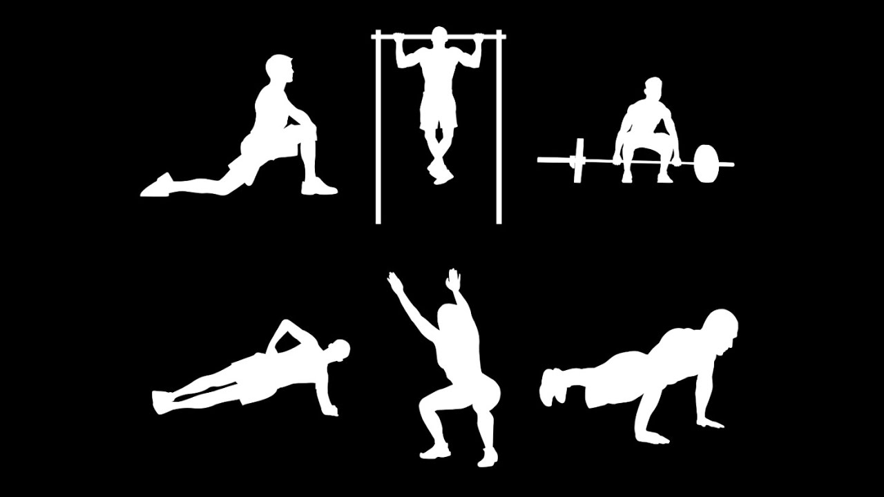 What are the Movement Patterns when lifting weights? - YouTube