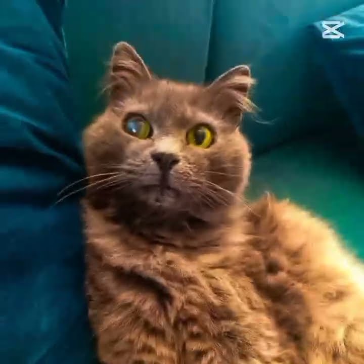 28 de febrero de 2025 - YouTube