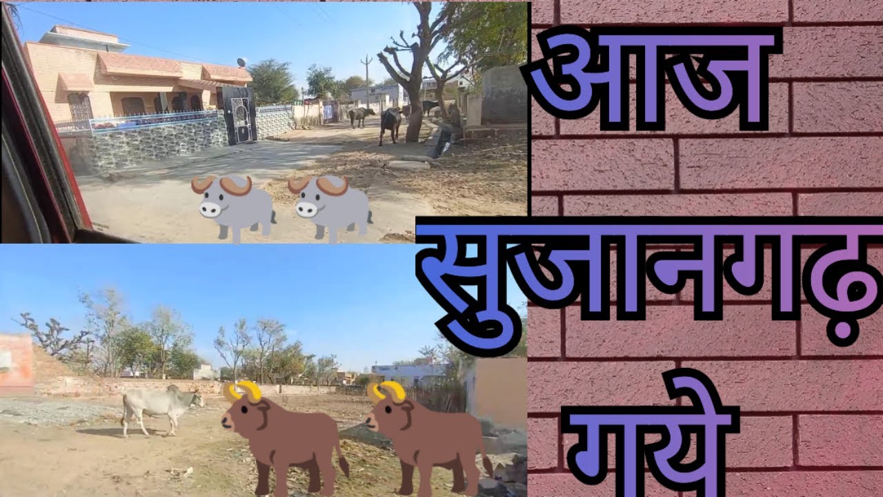 Aaj ghumne sujangarh gye😊😊|| best place visit in sujangarh||village ...